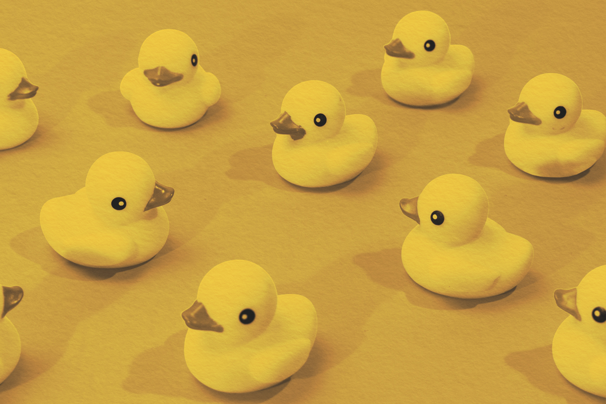 Take the Bull by the Horns and Learn These Animal Idioms - Word Smarts