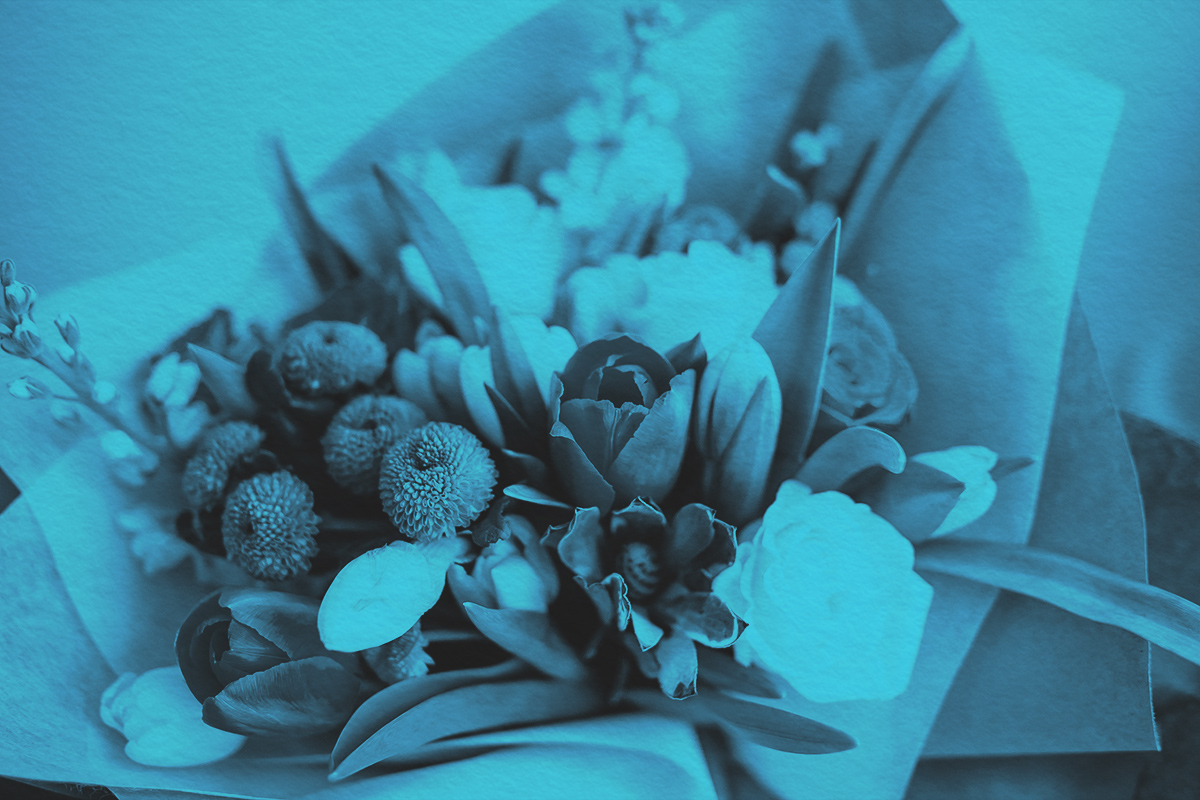 How To Understand and Decipher Latin Plant Names - Word Smarts