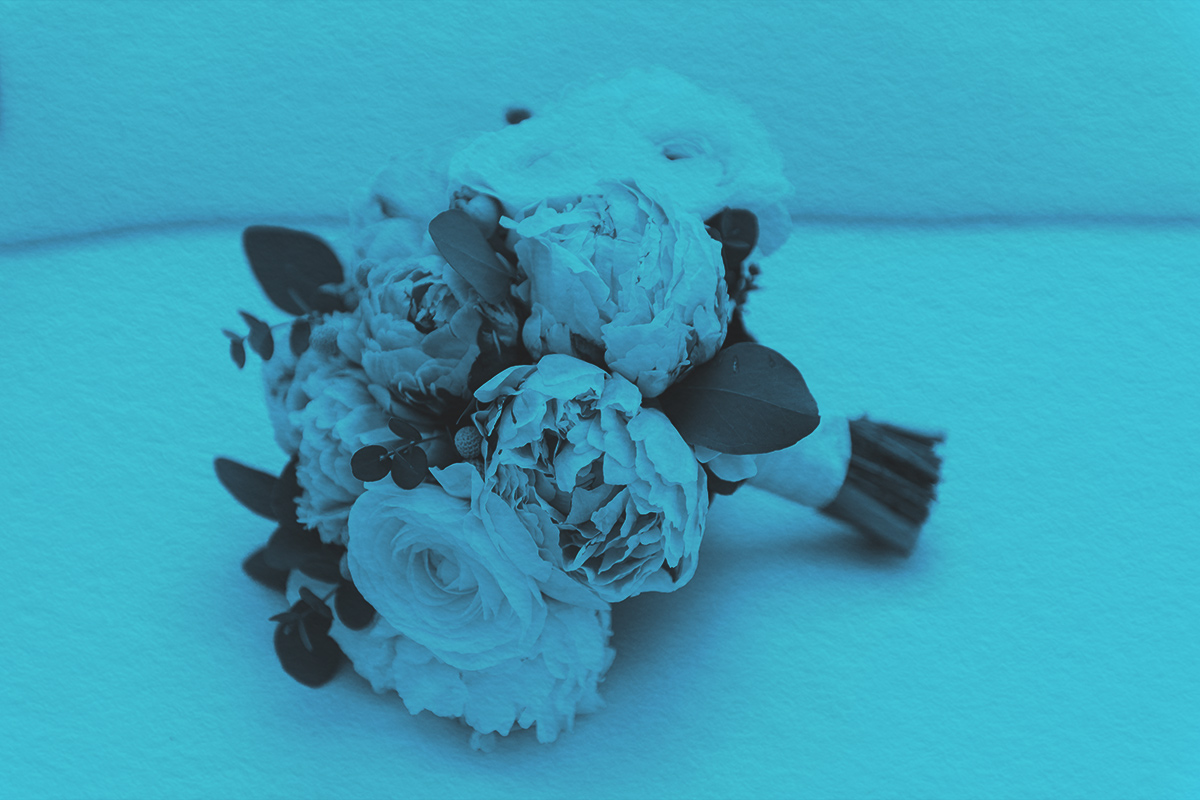 What's the Difference Between ‘Comprise’ and ‘Compose’? - Word Smarts