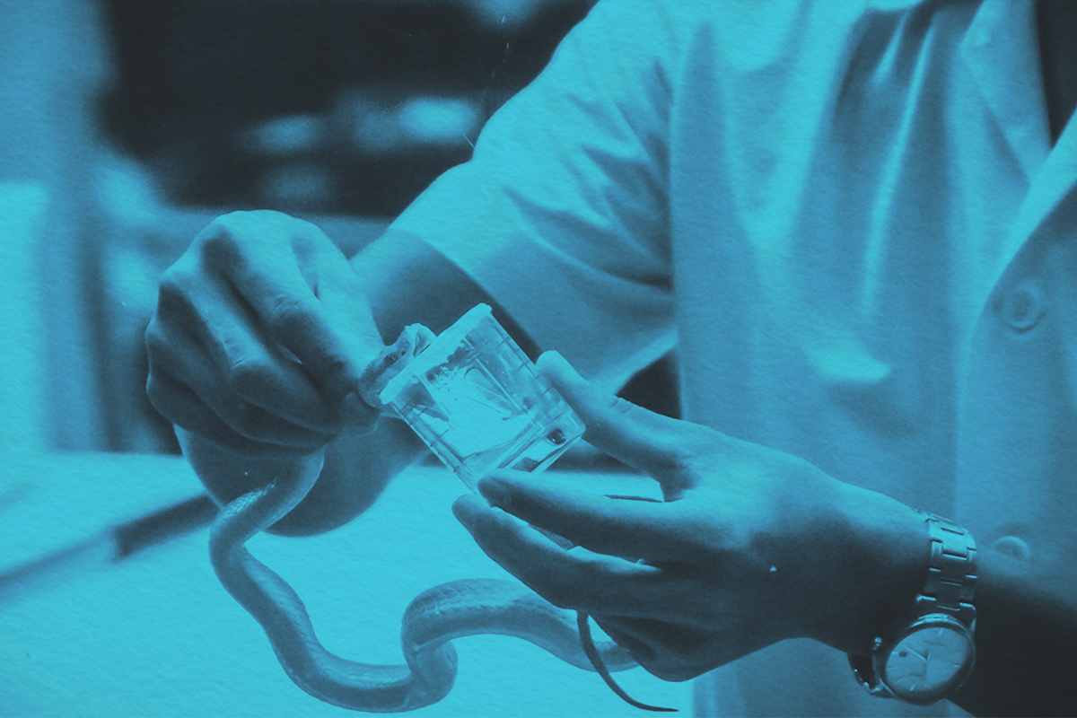 6 Weird Job Titles You Can Actually Get Paid For - Word Smarts